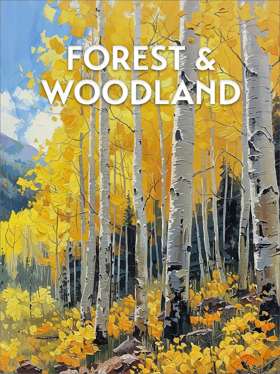 Forests & Woodlands Fine Art Prints | Timeless Nature-Inspired Art ...